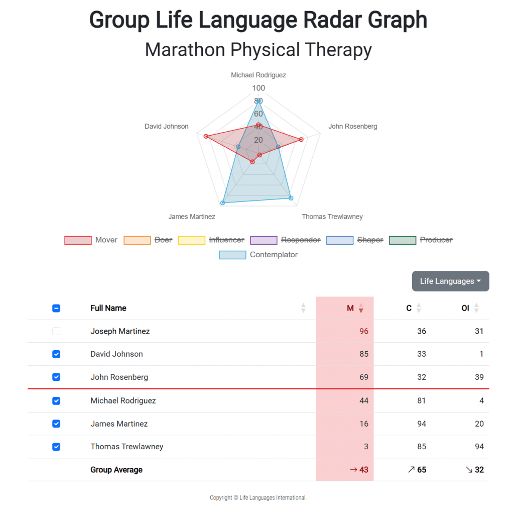 Group Life Language Radar Graphs - Relationship Matters